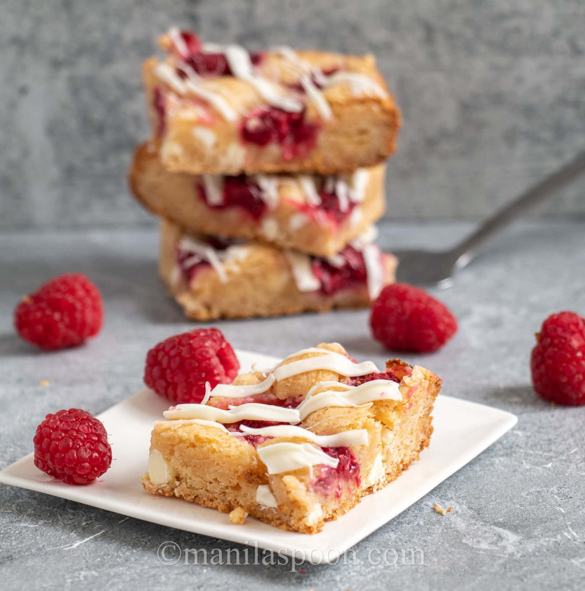 Raspberries And Cake Mix Bar Recipes Reliable Supplier | pwponderings.com